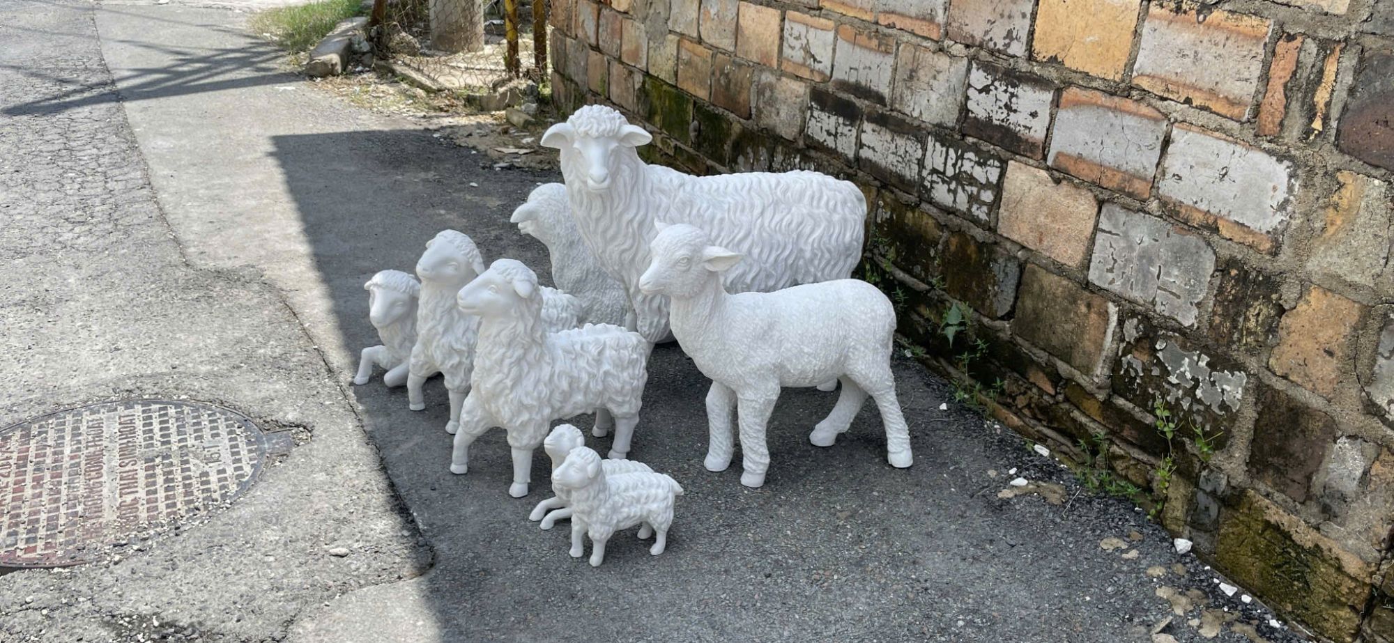 Family / flock of 8 sheep Statues - Wholesale Pots & Planters Melbourne ...